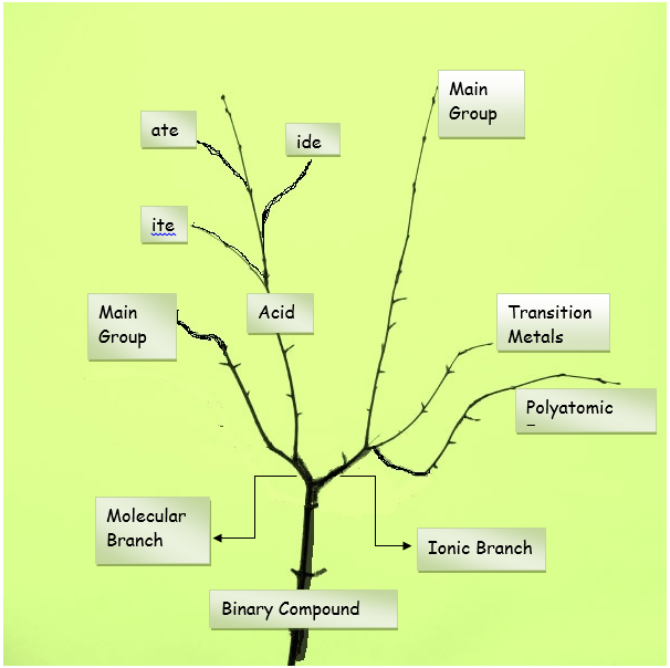 Naming Compounds | ChemistryBytes.com