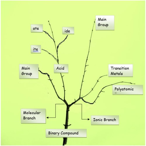 Naming Compounds | ChemistryBytes.com